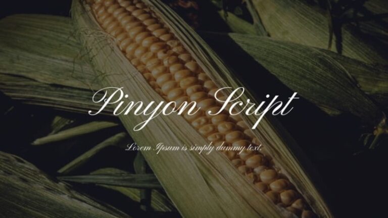 [Tổng Hợp] 10 Font Chữ Mềm Mại Việt Hóa Script