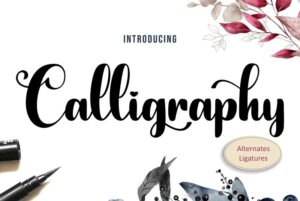 [Chia sẽ] 20+ Font Chữ Calligraphy Việt Hóa Miễn Phí